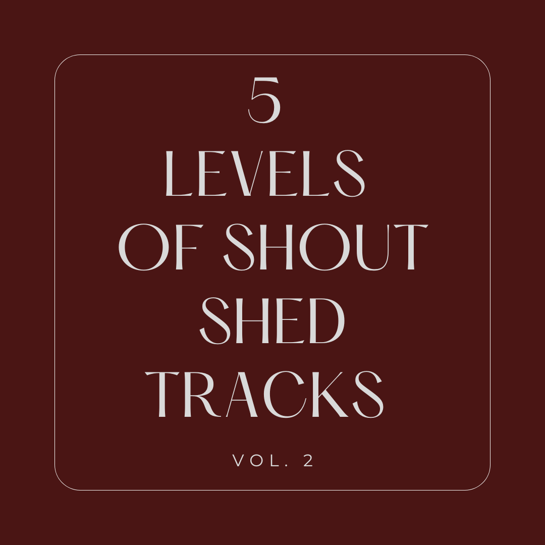 5 Levels of Shout Shed Tracks – Travis Dykes Music